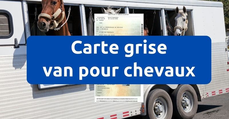 Changement carte grise d'un van pour chevaux : comment faire