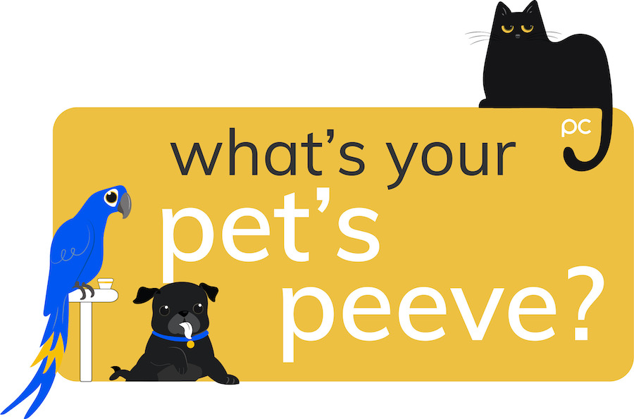 What s Your Pet s Peeve What s Your Pet s Peeve