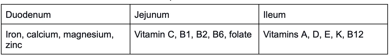 GI Specialty Lab Testing 101: Testing, Results Interpretation, Supplements