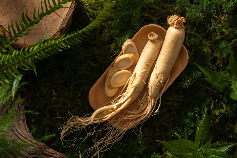 The Top 4 Therapeutic Uses of Ginseng to Boost Your Health