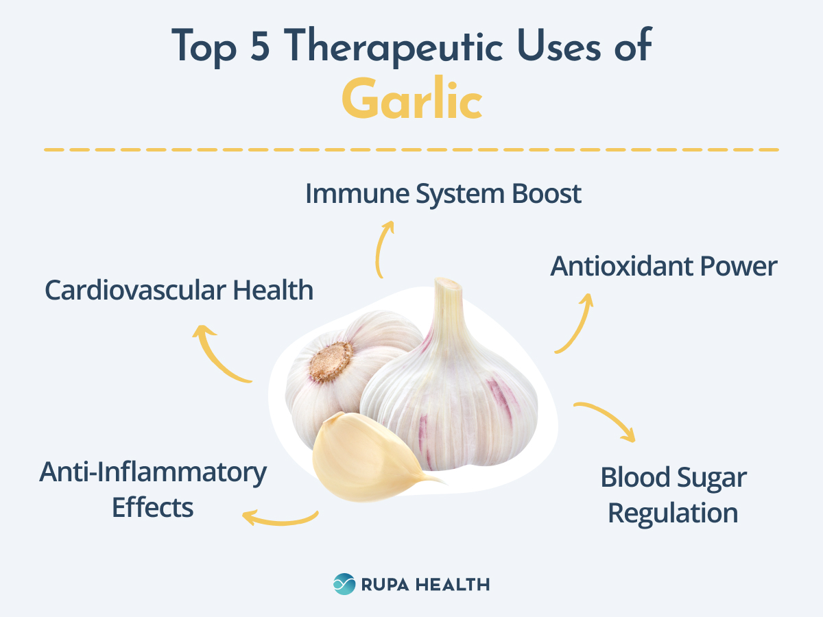 The Top 5 Therapeutic Uses of Garlic: From the Kitchen to the Medicine ...