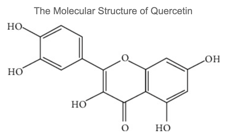 Quercetin 101: Getting to Know This Powerful Substance and How You Can ...
