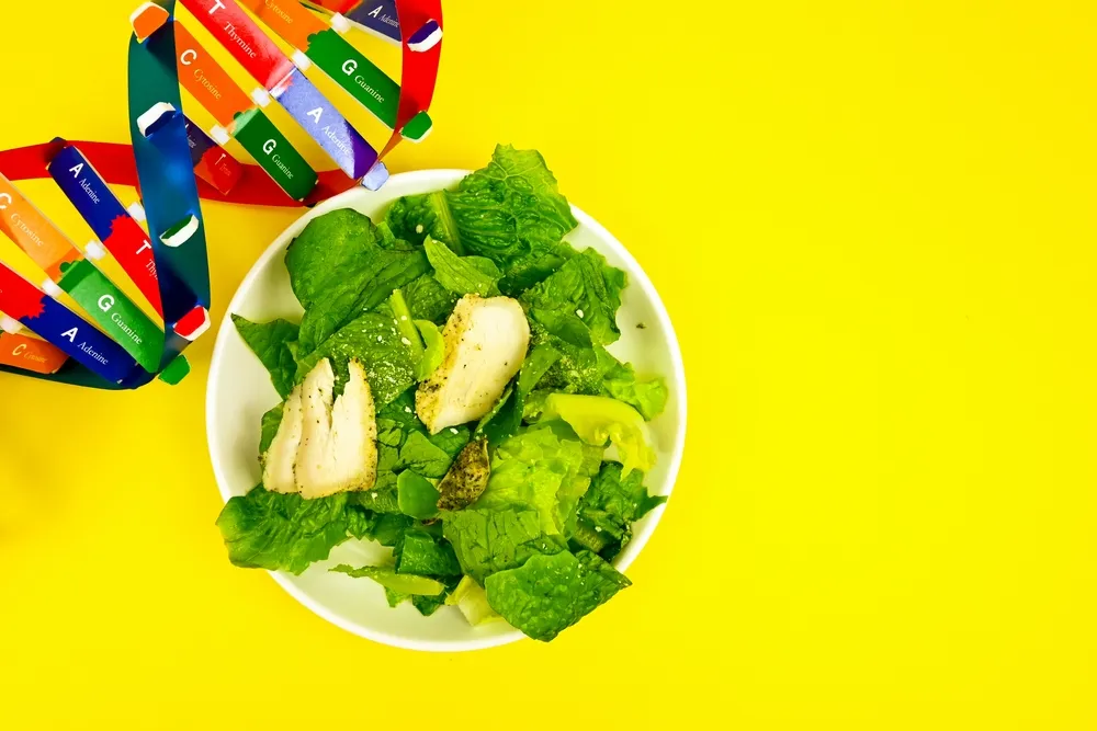 Epigenetics and Diet: How Food Influences Gene Expression