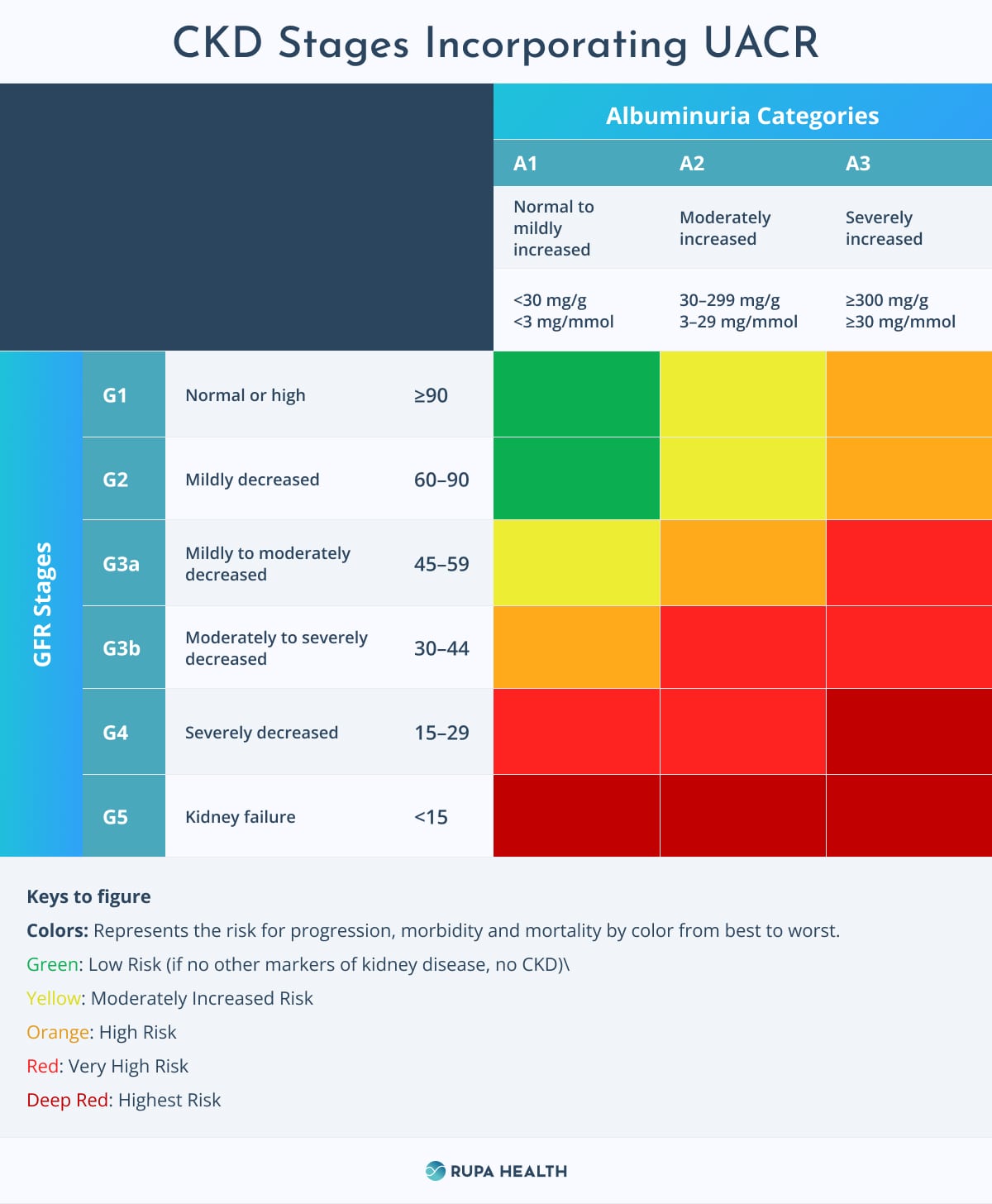 Understanding the Role of Kidney Function Tests in Comprehensive Health ...