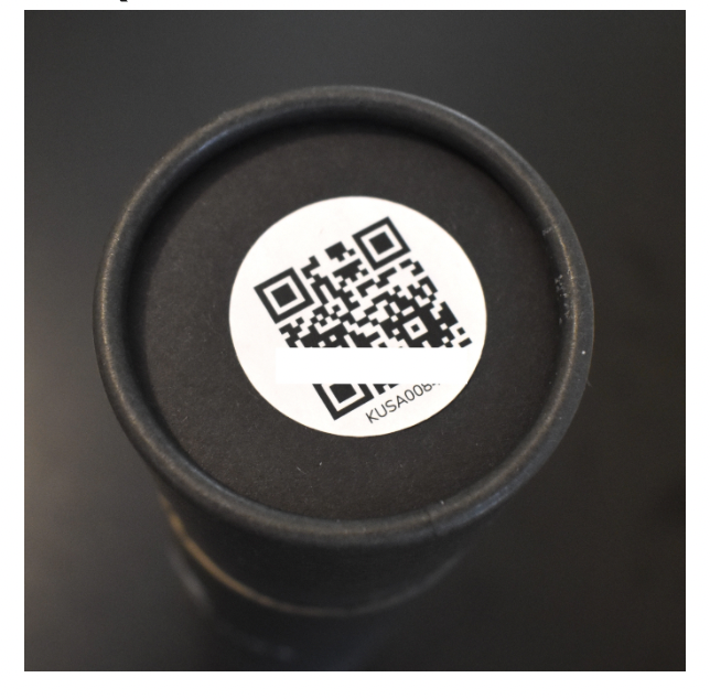 3X4 Genetics Test + Blueprint Report by 3X4 Genetics