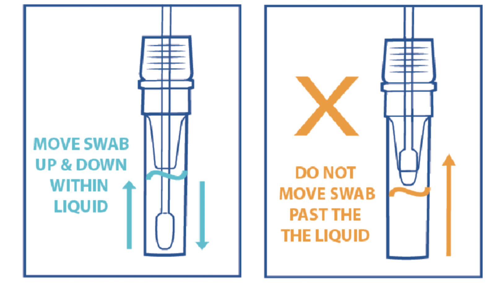 3X4 Genetics Test + Blueprint Report by 3X4 Genetics