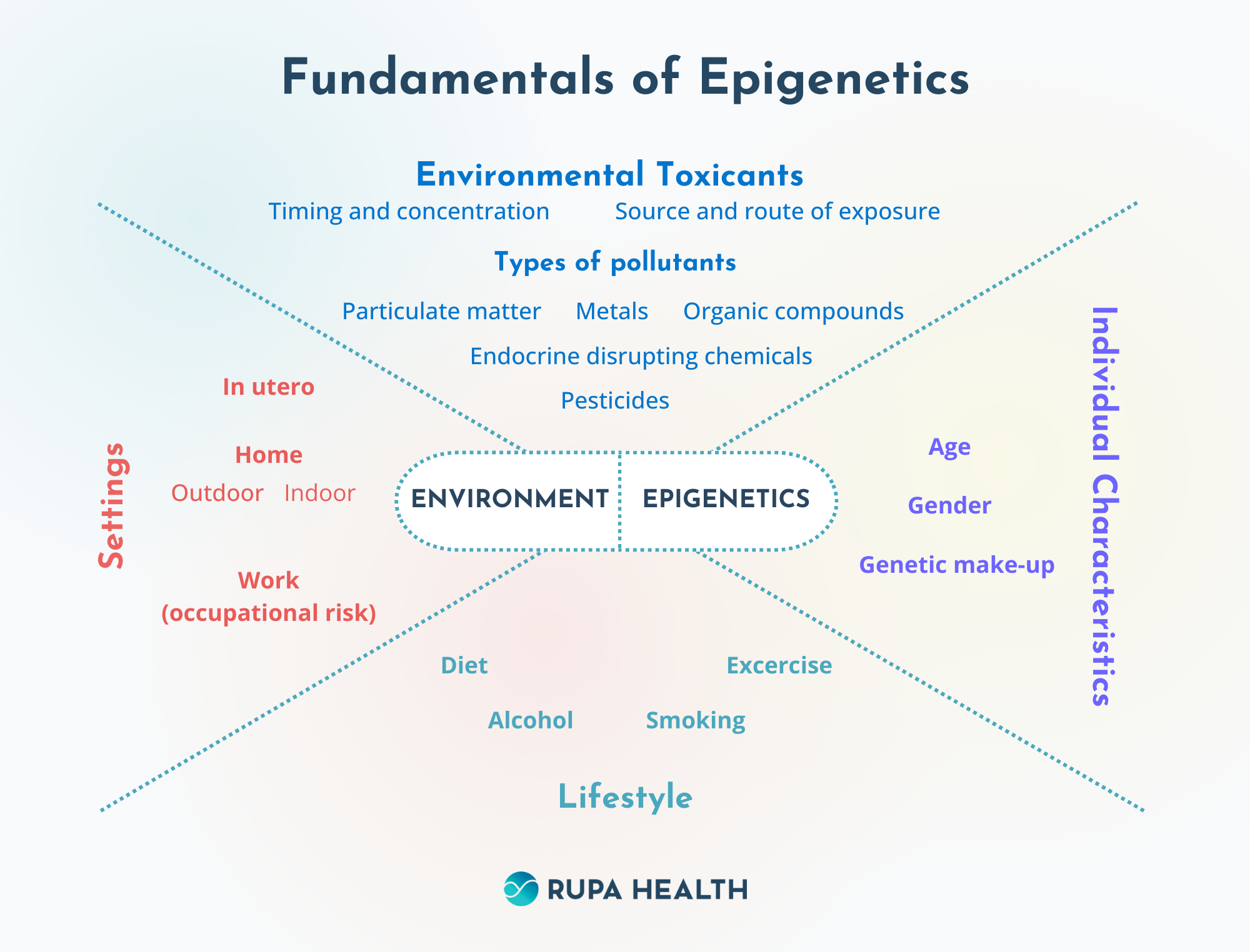 Epigenetics and Disease Prevention: Harnessing Lifestyle Changes in ...