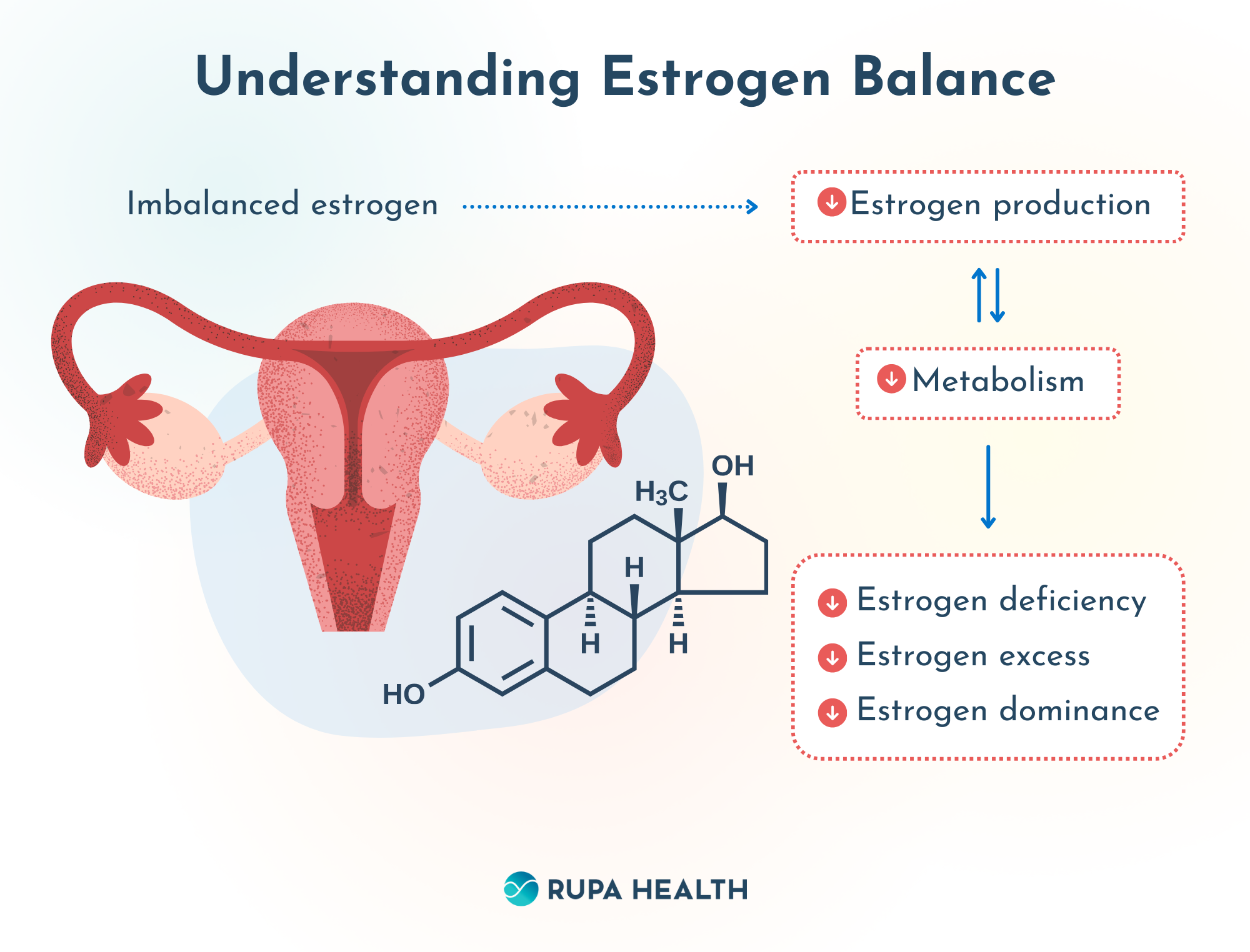 Calcium-D-Glucarate's Effectiveness in Estrogen Balance: An Integrative ...