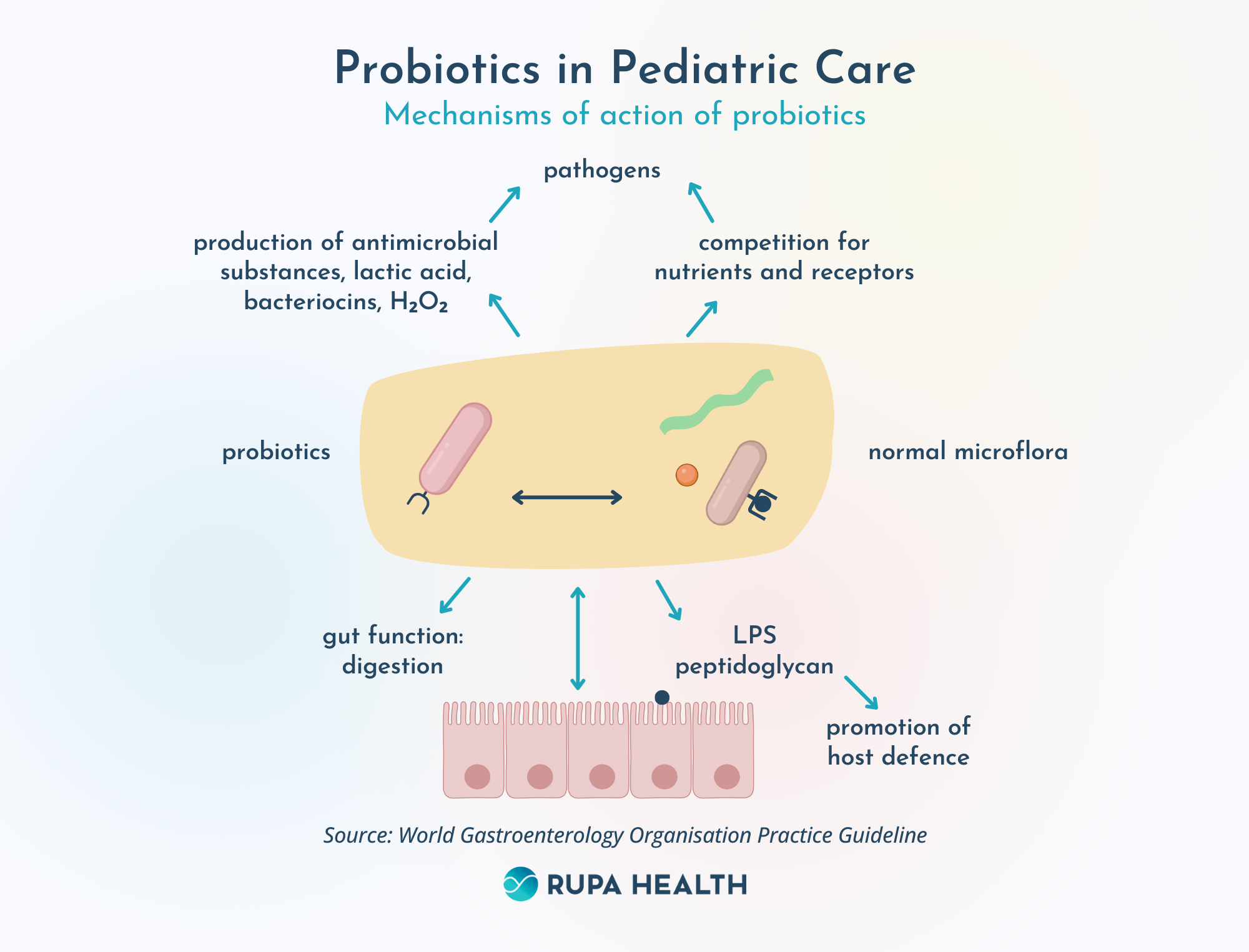 Probiotics in Pediatric Care: Balancing Gut Health for Younger Patients