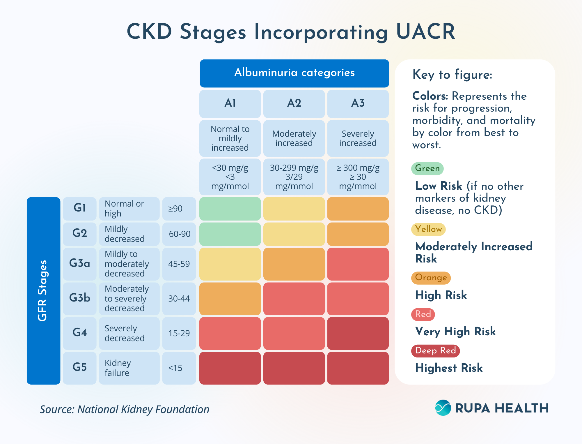 Understanding the Role of Kidney Function Tests in Comprehensive Health ...