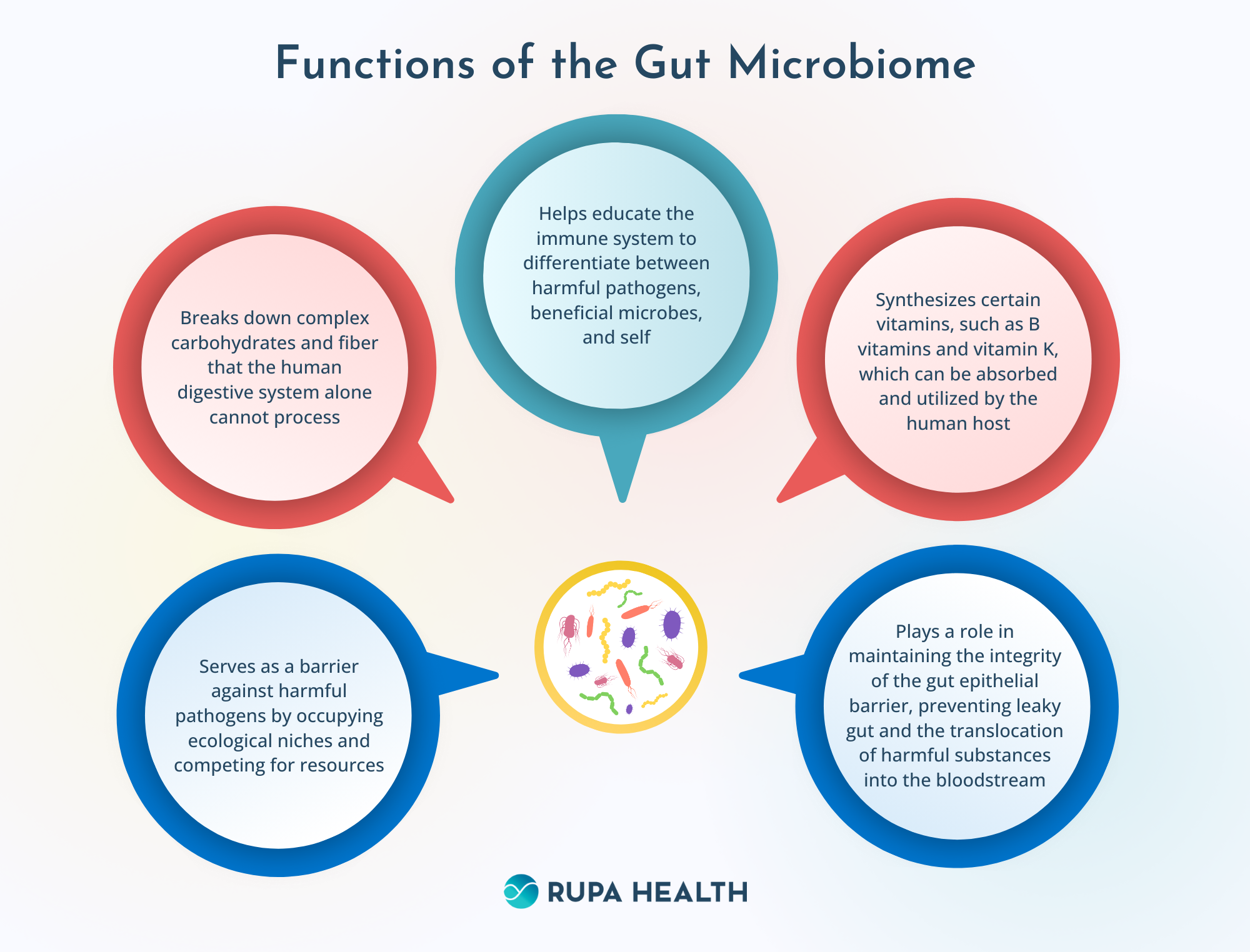 What is the Gut Microbiome?