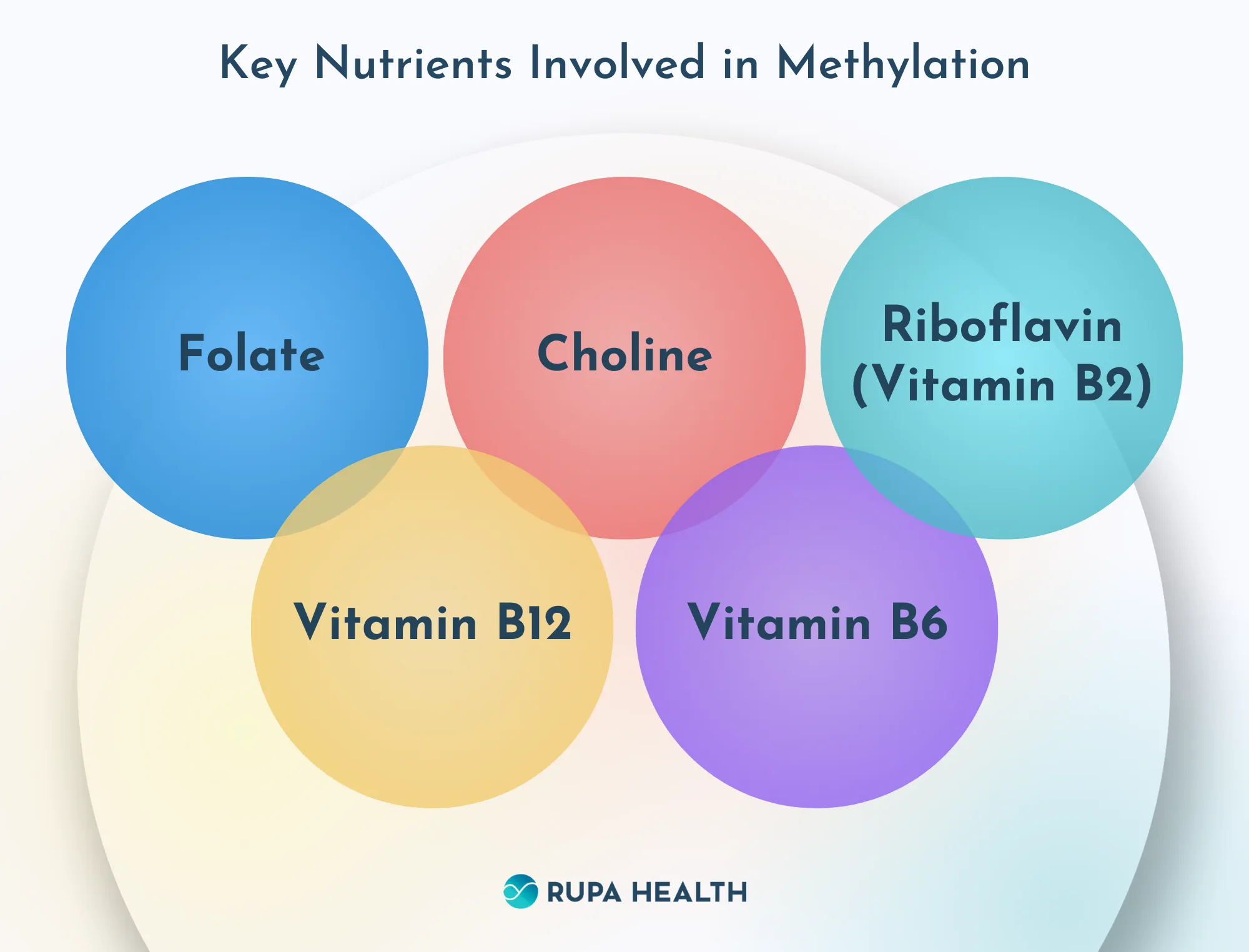 Nutritional Support for Optimal Methylation: A Guide for Functional ...