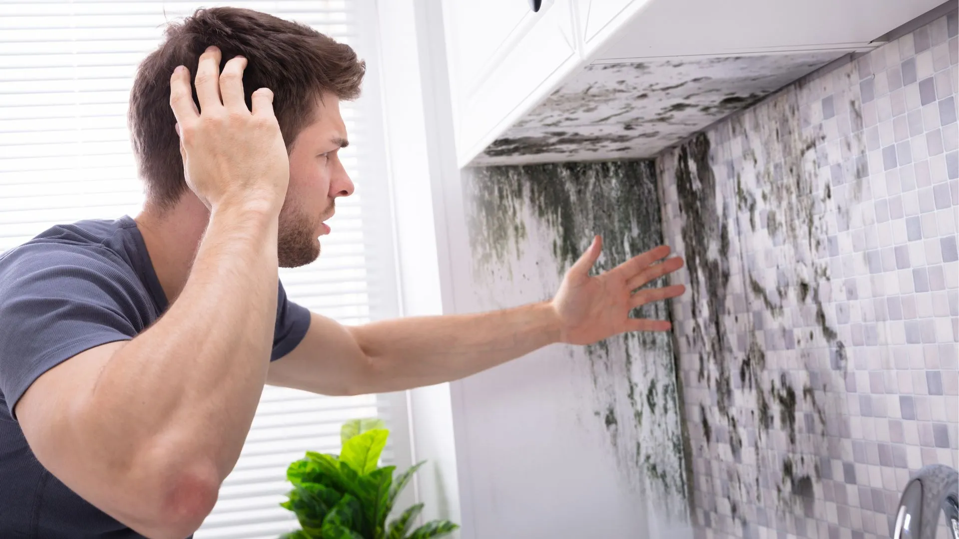 The Top Symptoms of Black Mold Exposure: What to Watch For