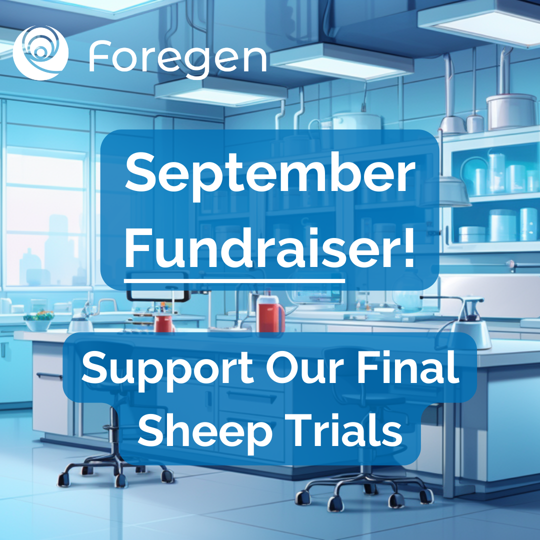 Foregen: Join Foregen's September Surge: Finishing Sheep Trials ...