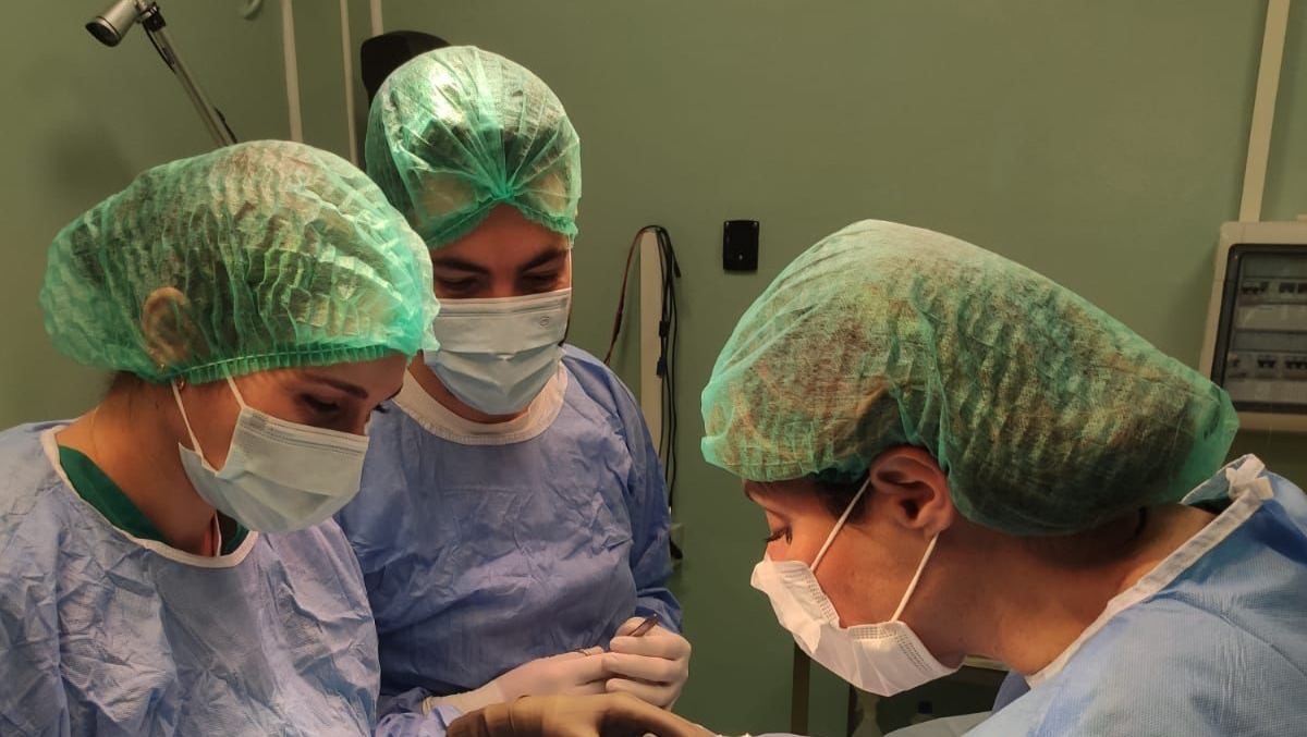 Foregen: Join Foregen's September Surge: Finishing Sheep Trials ...