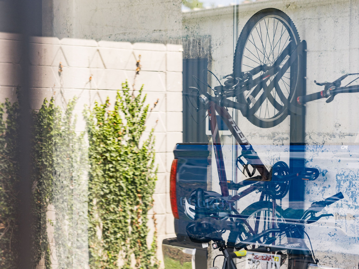 The Delta Project | Ecological Design Group