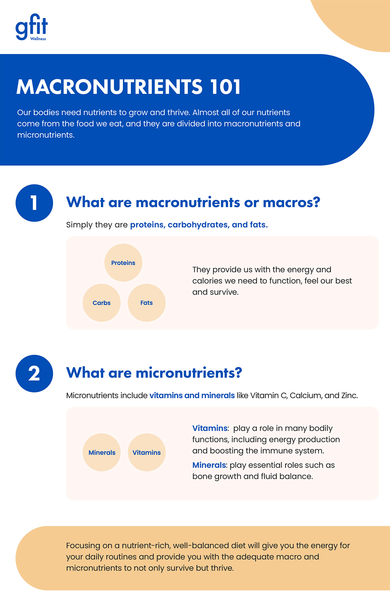 Macronutrients 101 - GFIT Wellness