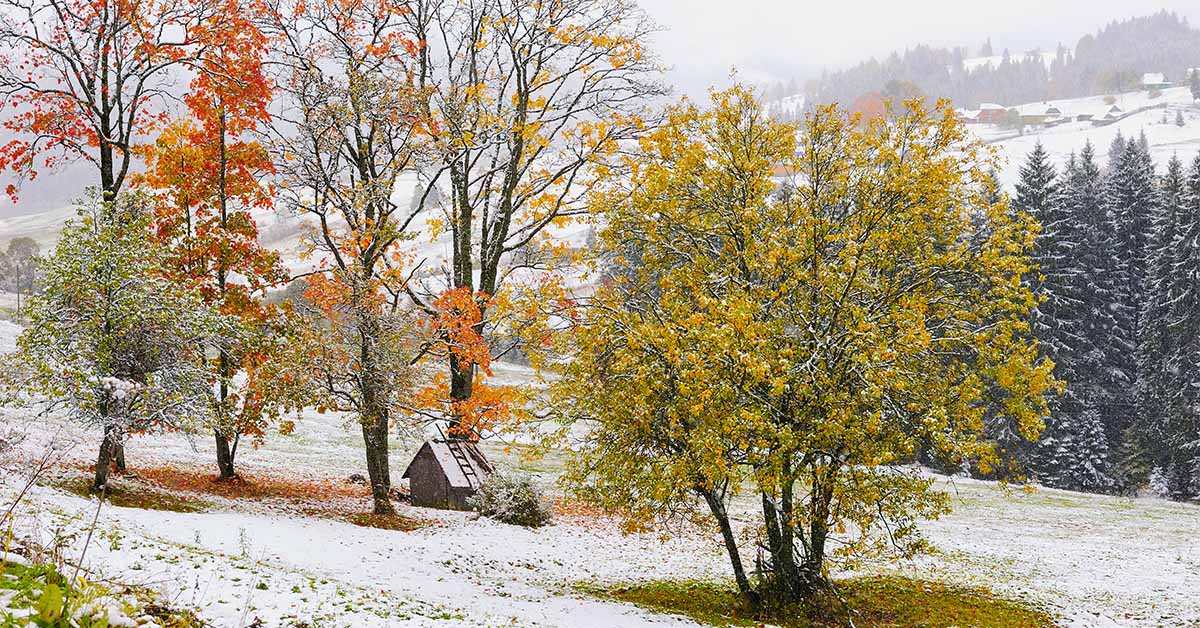 How to Winterize Your Yard – 5 Quick Tips