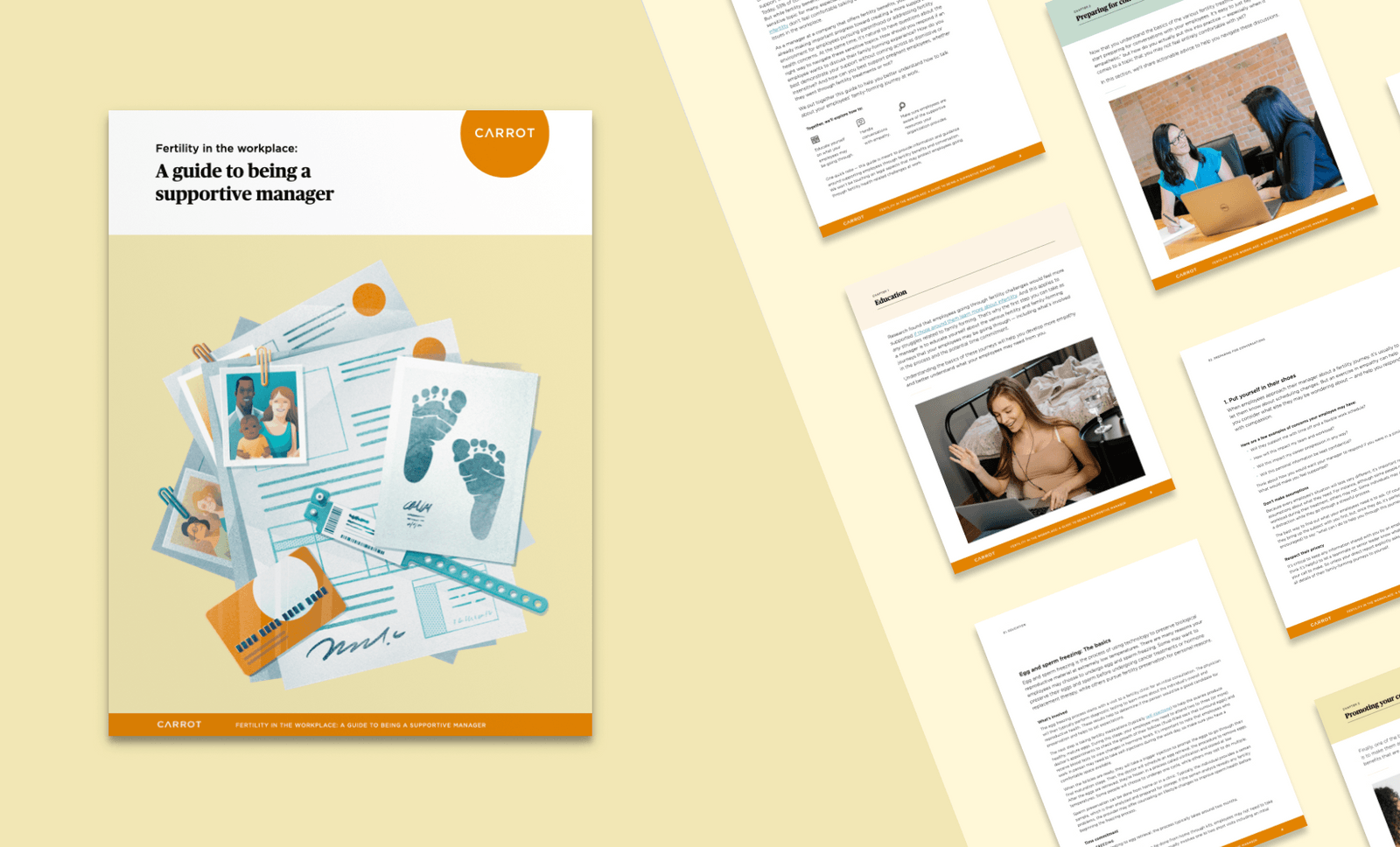 Fertility Resource Center | Carrot Fertility