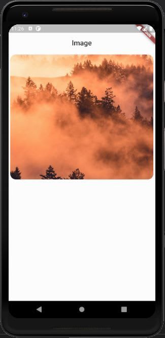 How to Add Preloader to Image in Flutter