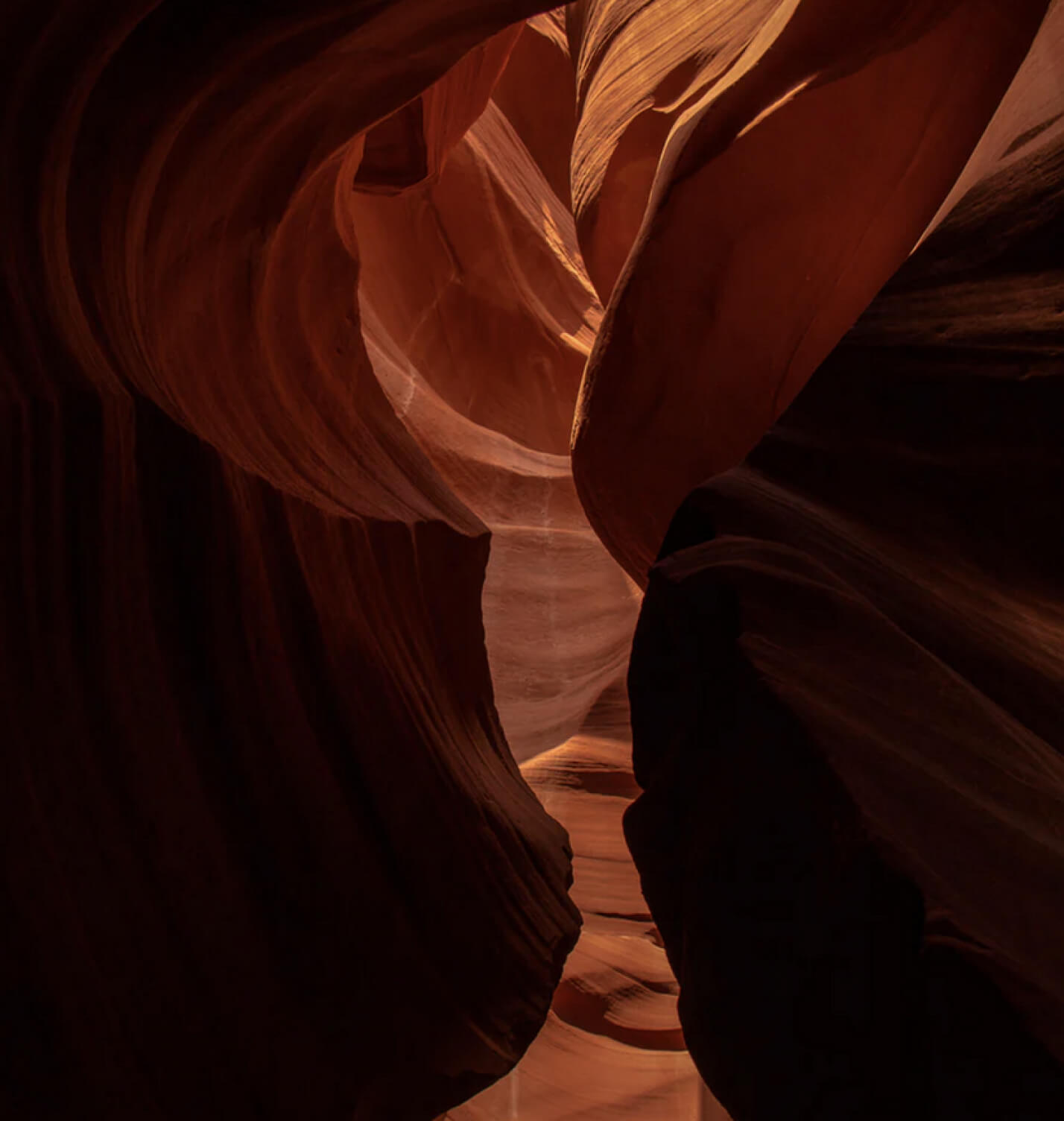 DANIELA BAUM - Beratung im Gesundheitswesen