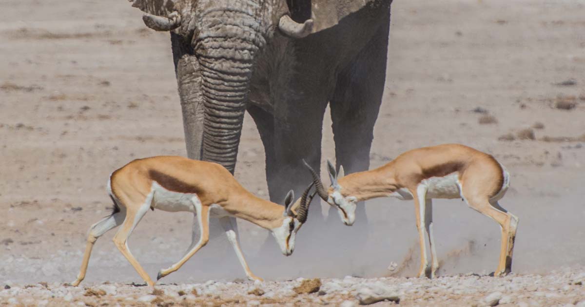 Cloud Managed Services Vs Traditional Managed Services