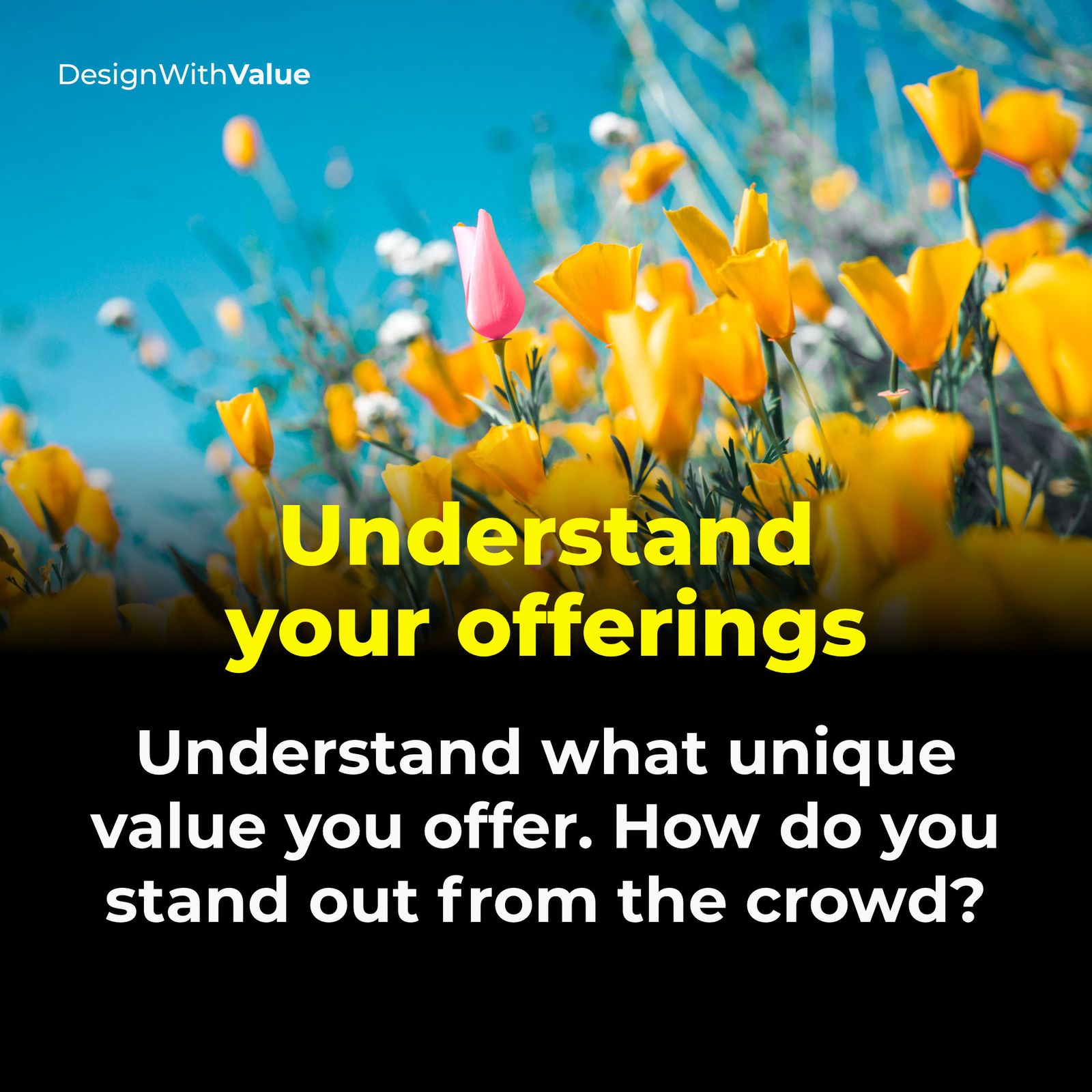 The PVP Index: Definition, Examples & Free Worksheet