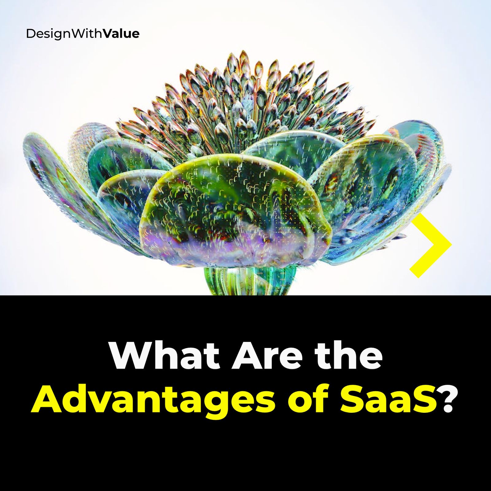 SaaS for Dummies. 15 SaaS FAQs + Free Cheat Sheet