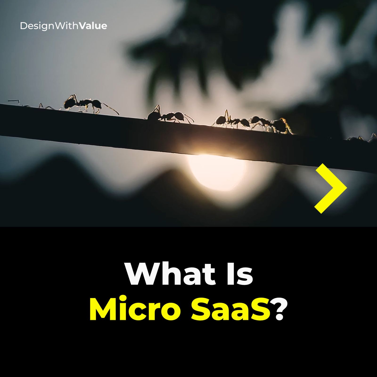 Micro SaaS: Advantages, Ideas, and Examples (+ Free Cheat Sheet)