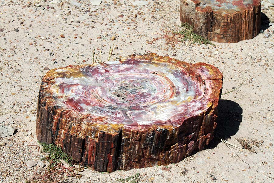 August 2012 - Oil Search awards Axis Middle East and North Africa ...