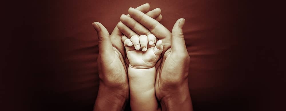 Tree of Life Ministries | Evangelism in Israel