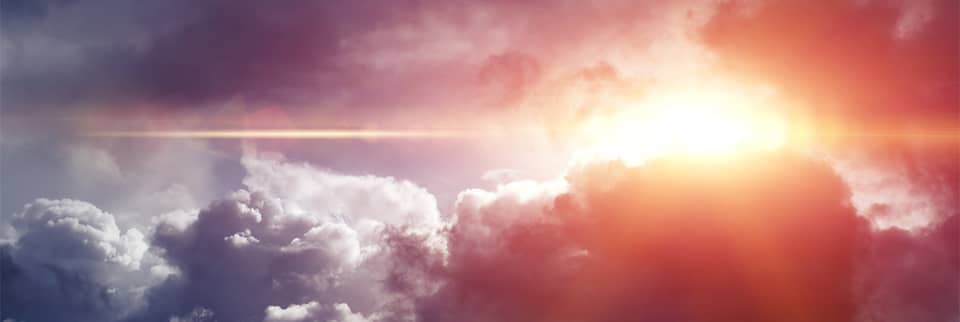 Light to the Nations | Gospel going forth from Israel | Tree of Life