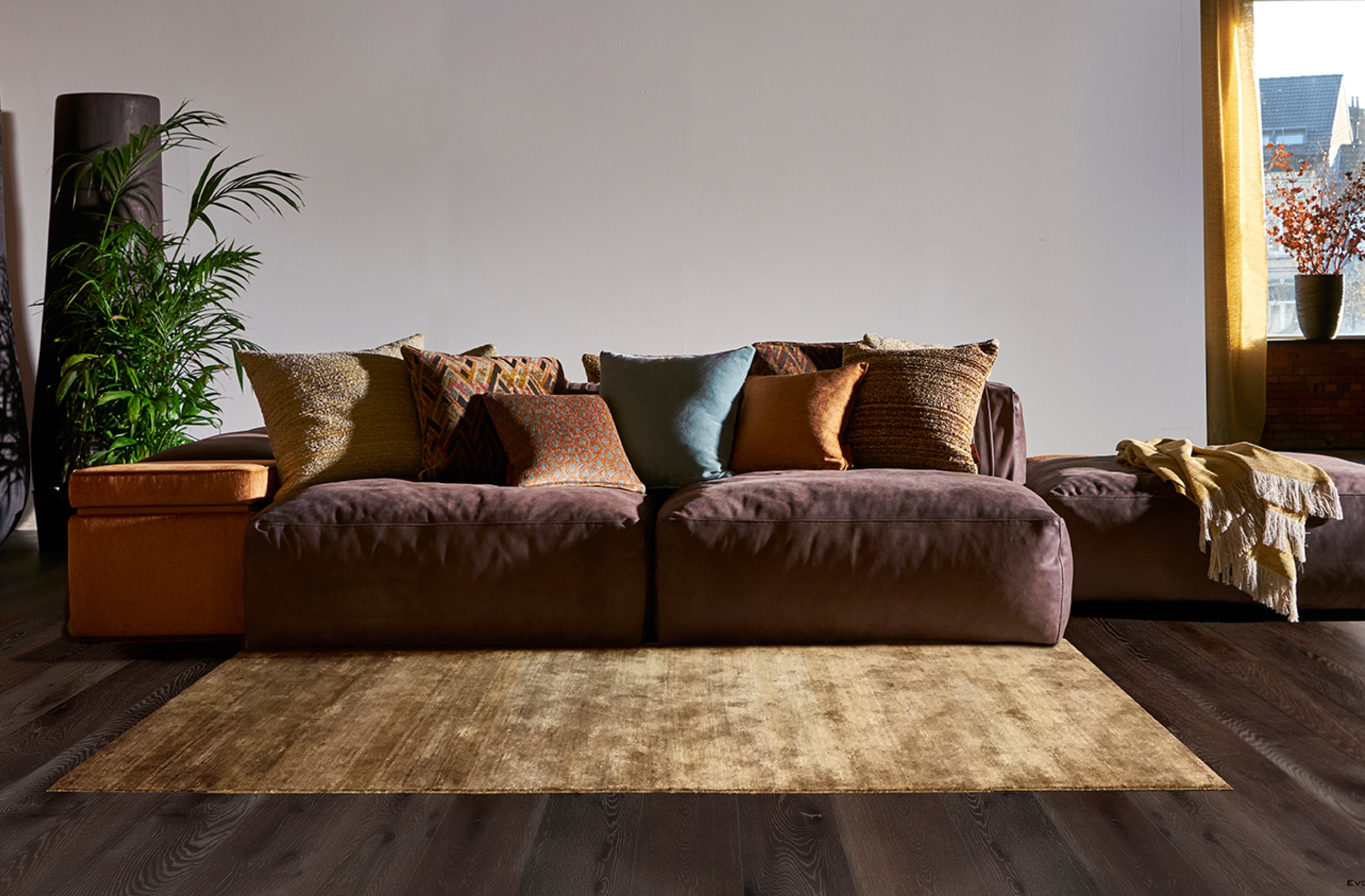 Collection Angelo Rugs - SILKY