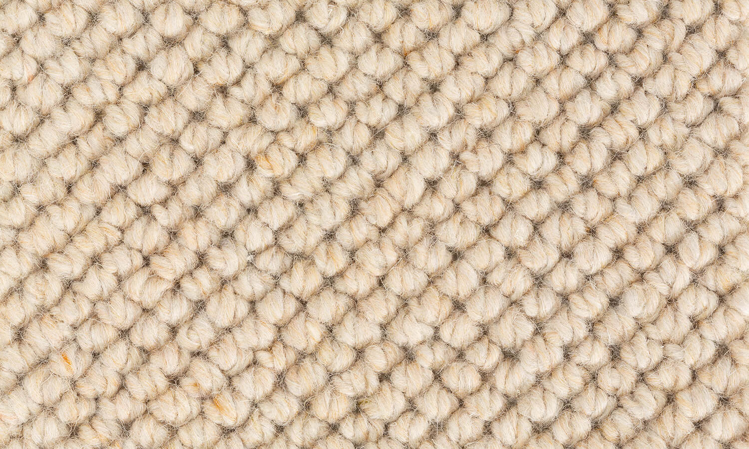 Collection Woolly - WOOLLY WDVE