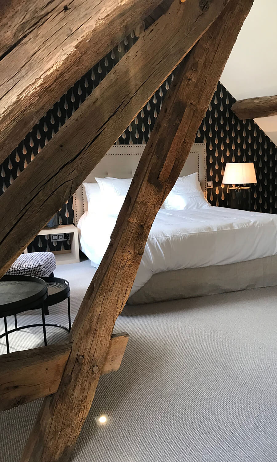 Collection Woolly - WOOLLY WDSA