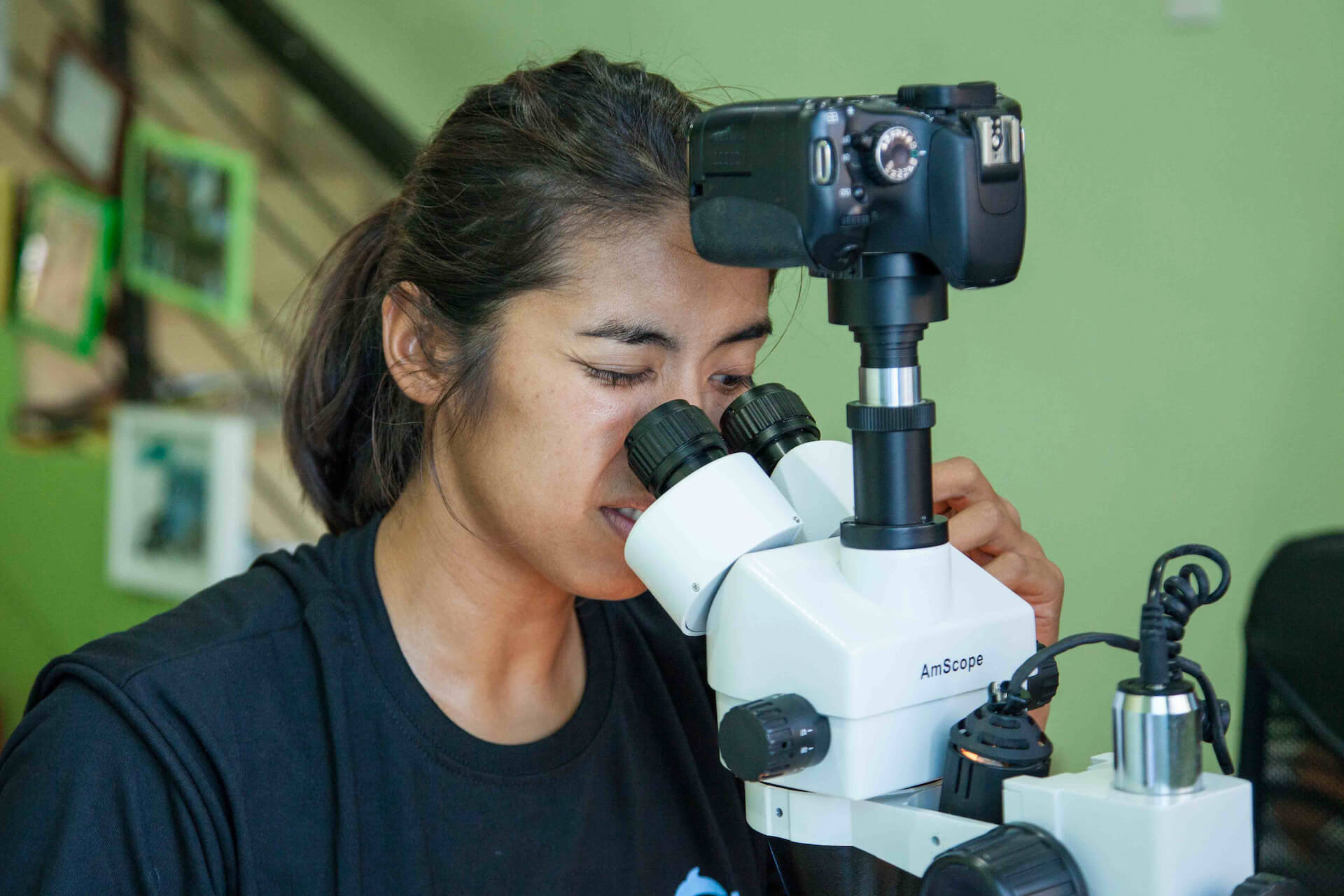 Saving Sharks with Ariana Agustines