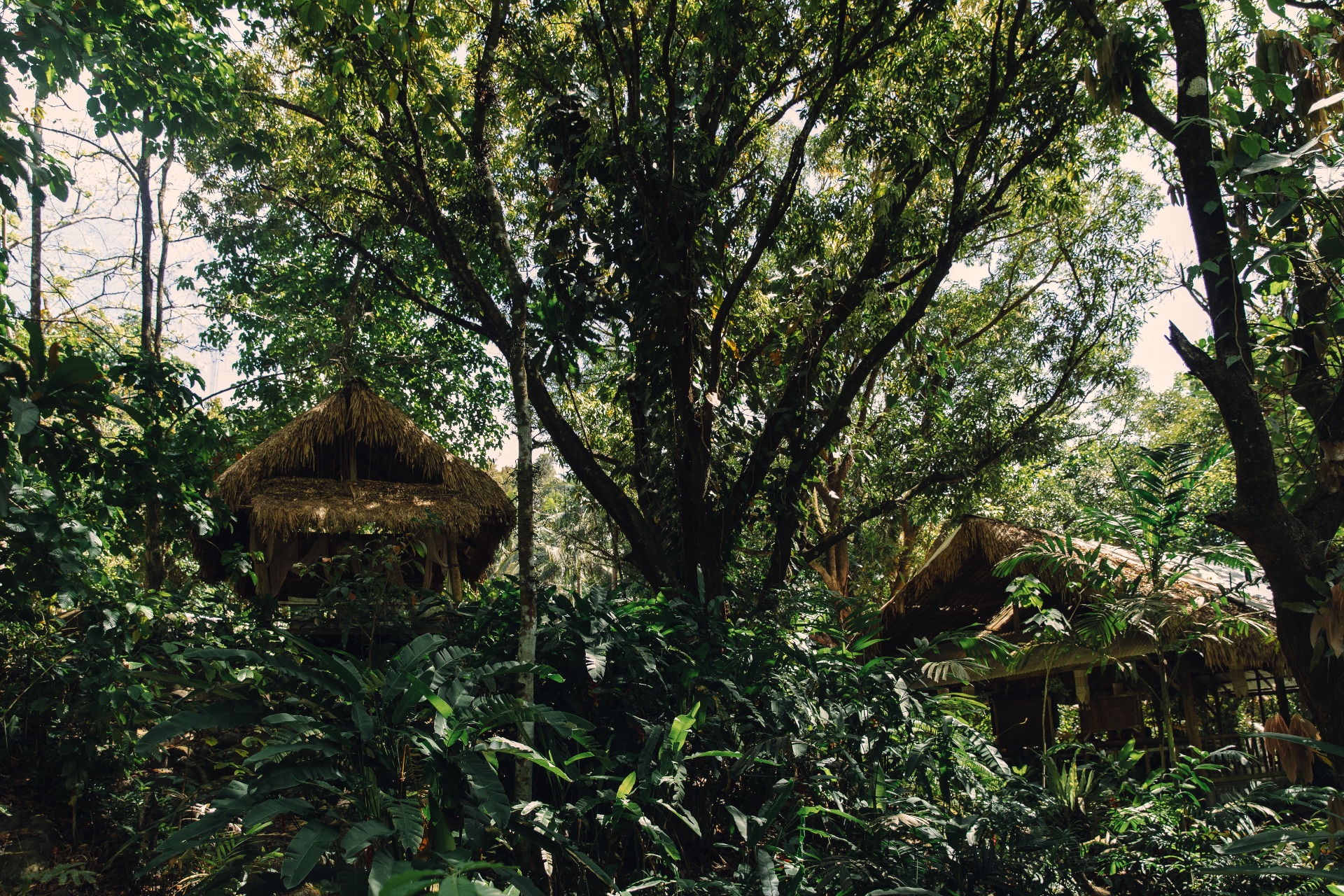 Before the First Seeds are Planted