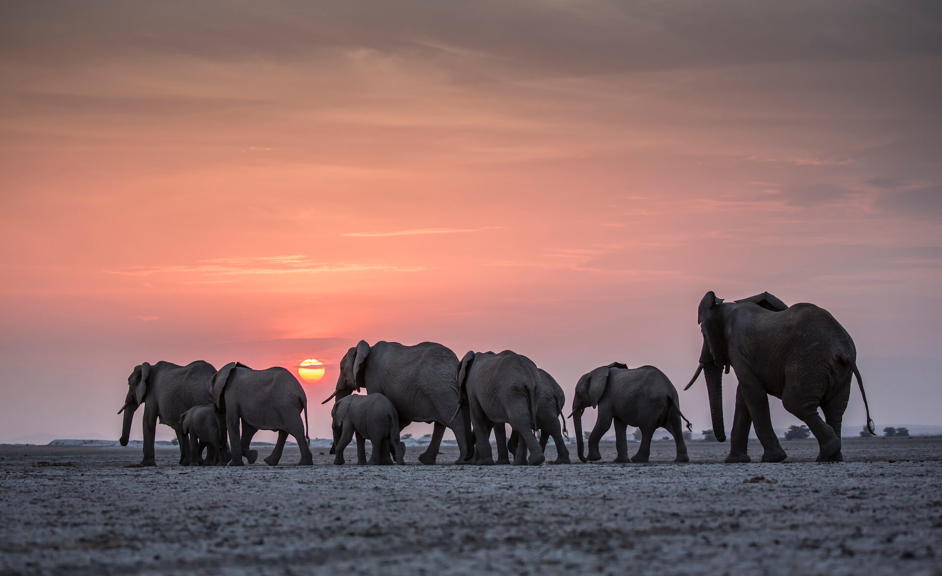 Sean Dundas | Guide Profile | Ker & Downey Safaris