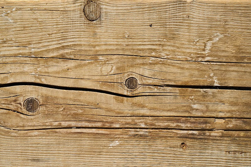 Western Archrib | Structural Wood Systems