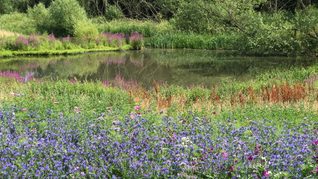 Home | West Bletchley Parish Council