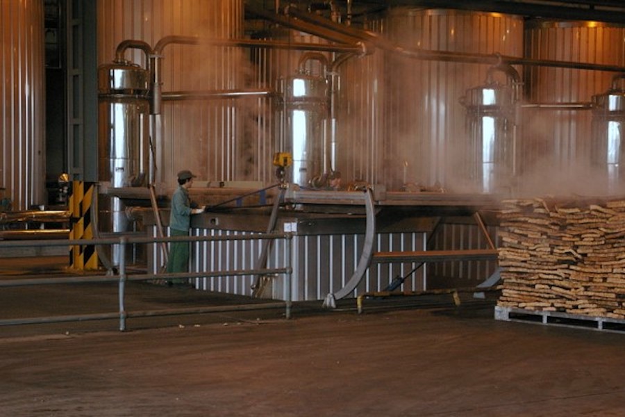 An architect’s guide to cork flooring