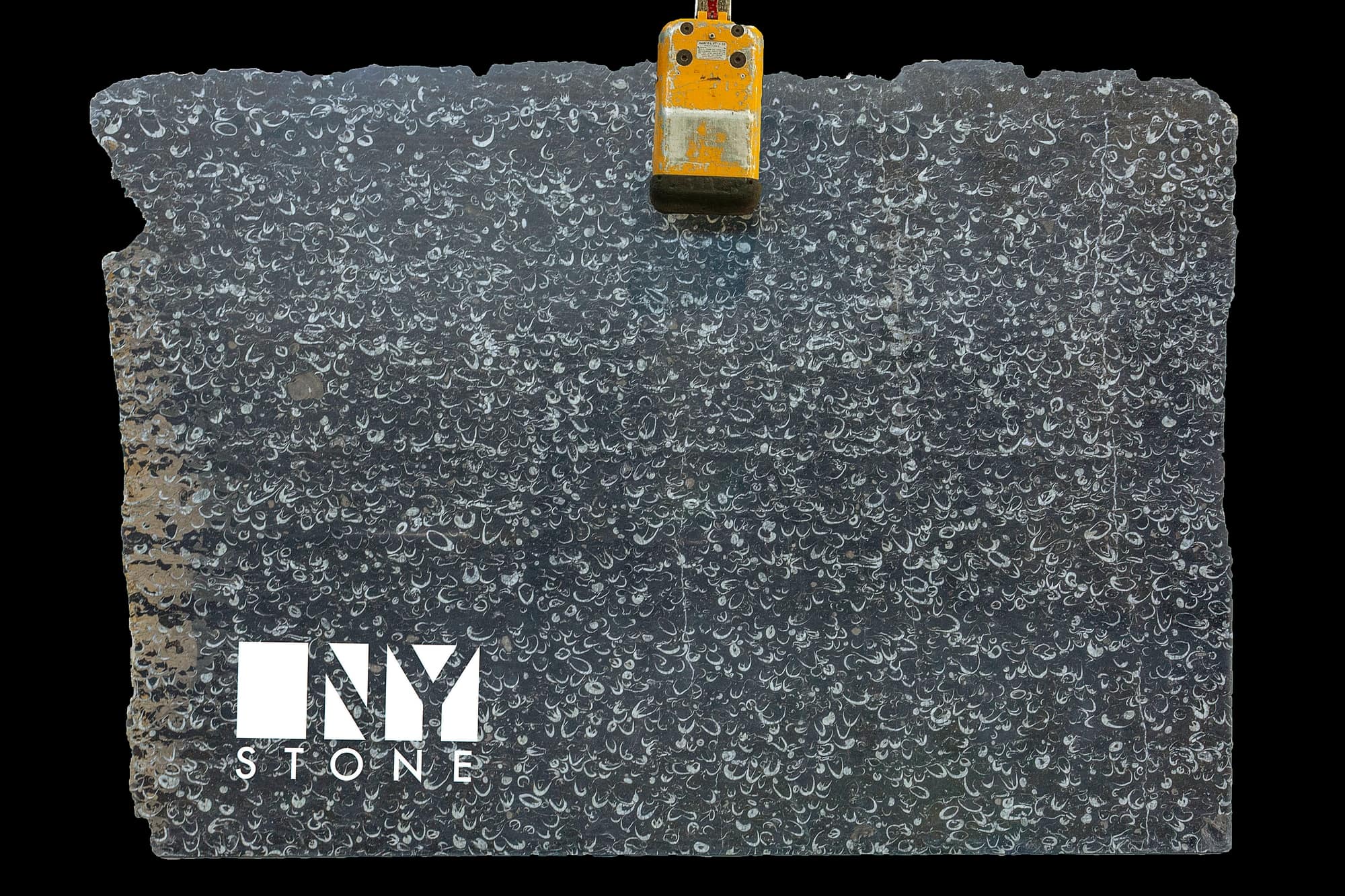 New York Stone | Black Shell Marble, Marble from Morocco