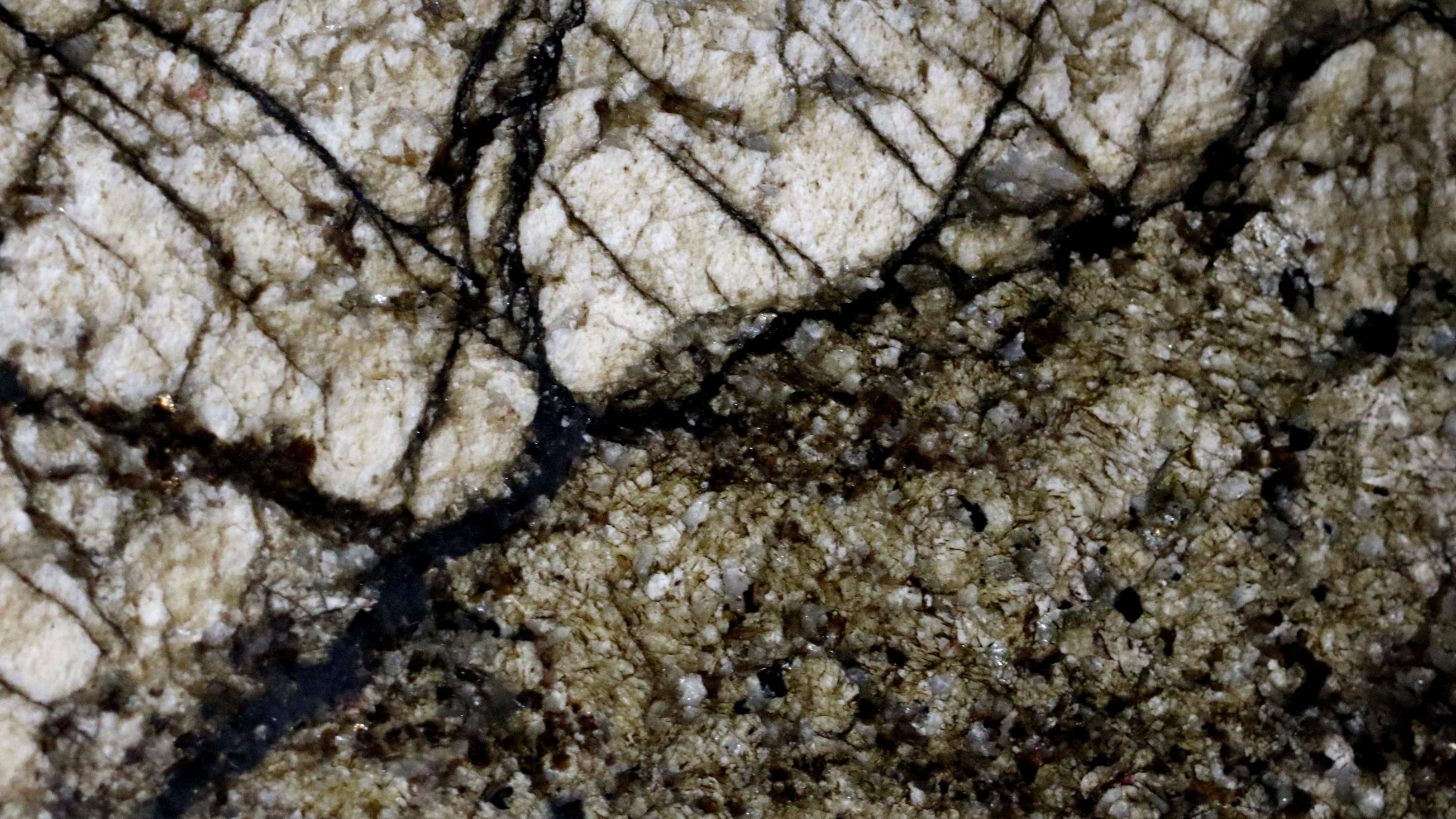 New York Stone | Coliseu Granite, Granite from Brazil