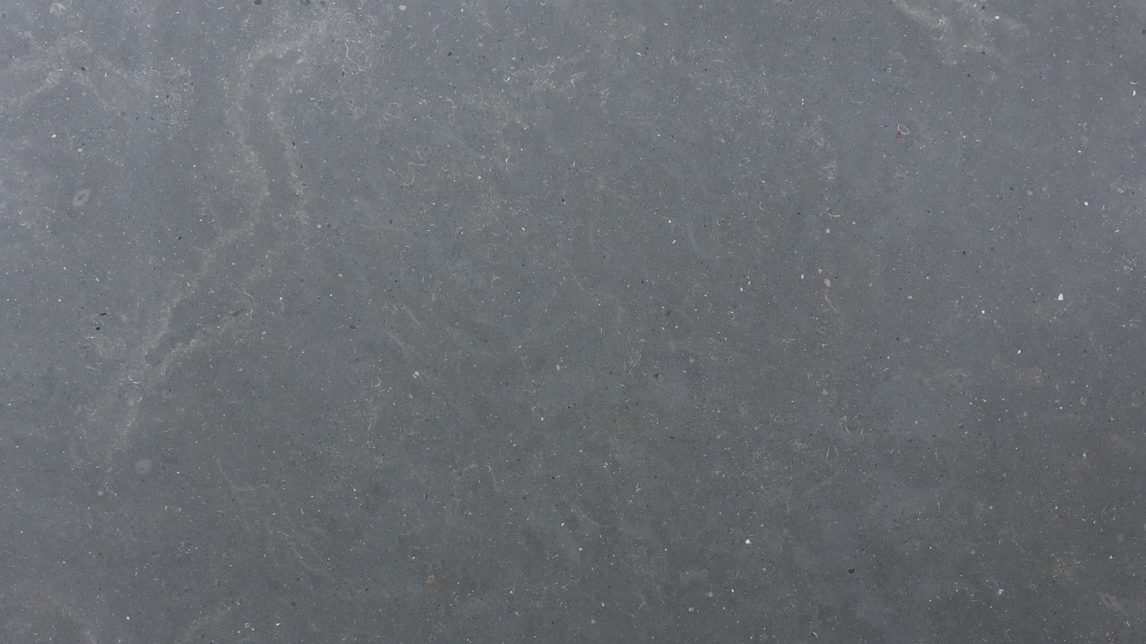 New York Stone | Gris Concrete Limestone, Limestone from Spain