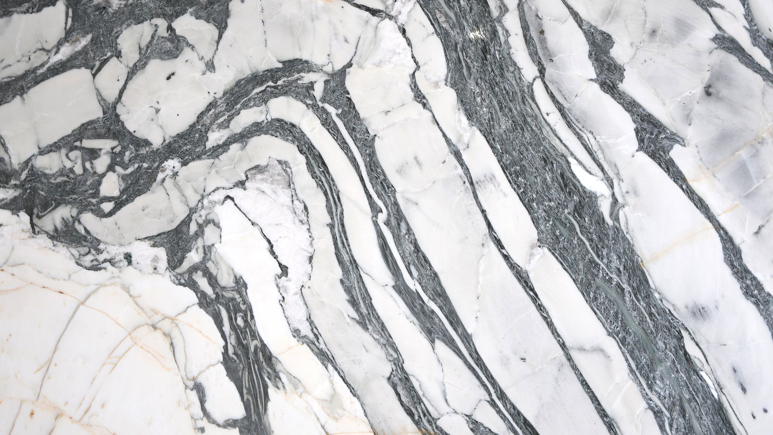 New York Stone | Calacatta Black Marble, Marble from Italy