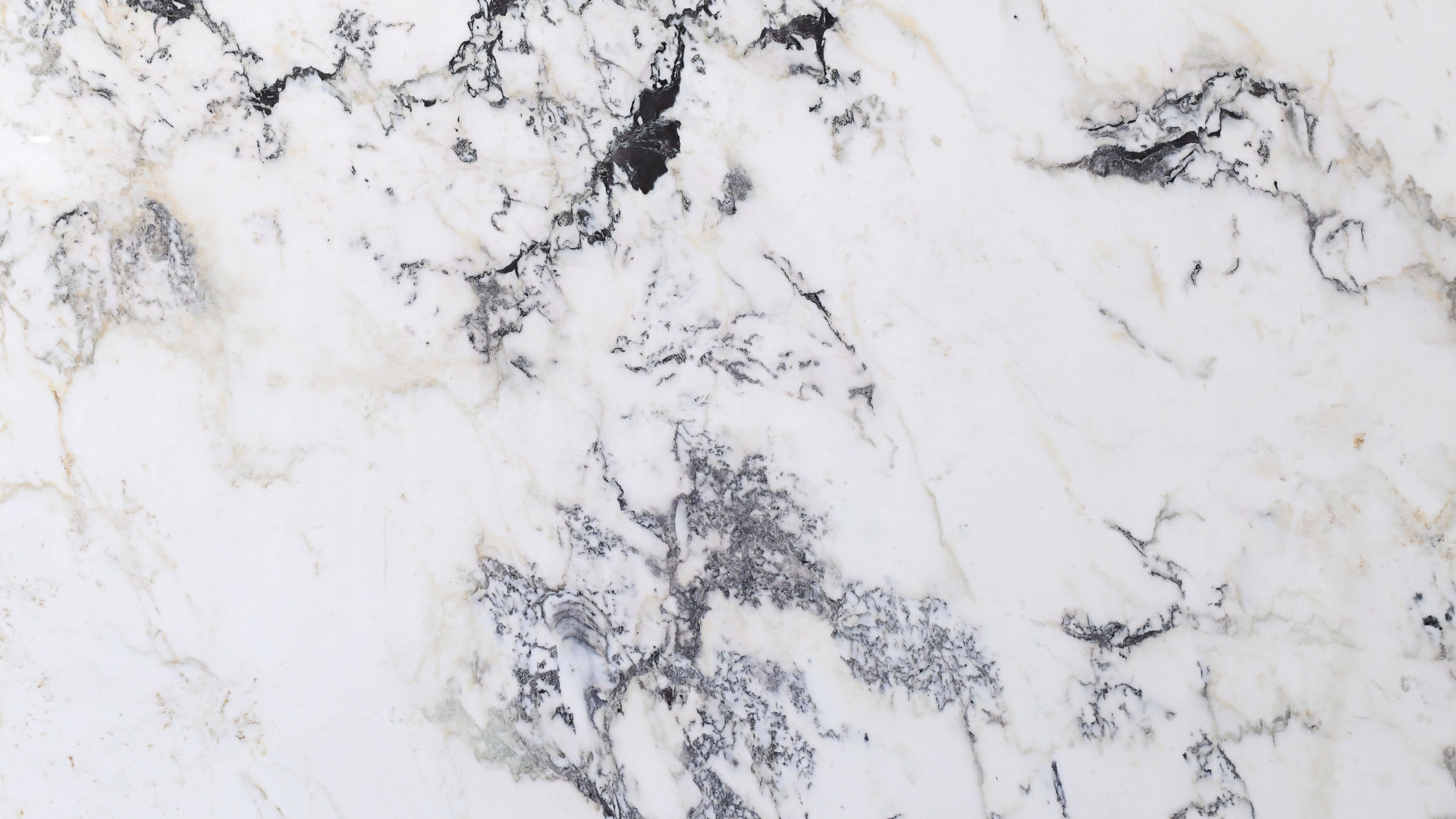 New York Stone | CAPRAIA ANTIQUE MARBLE , Marble from Italy