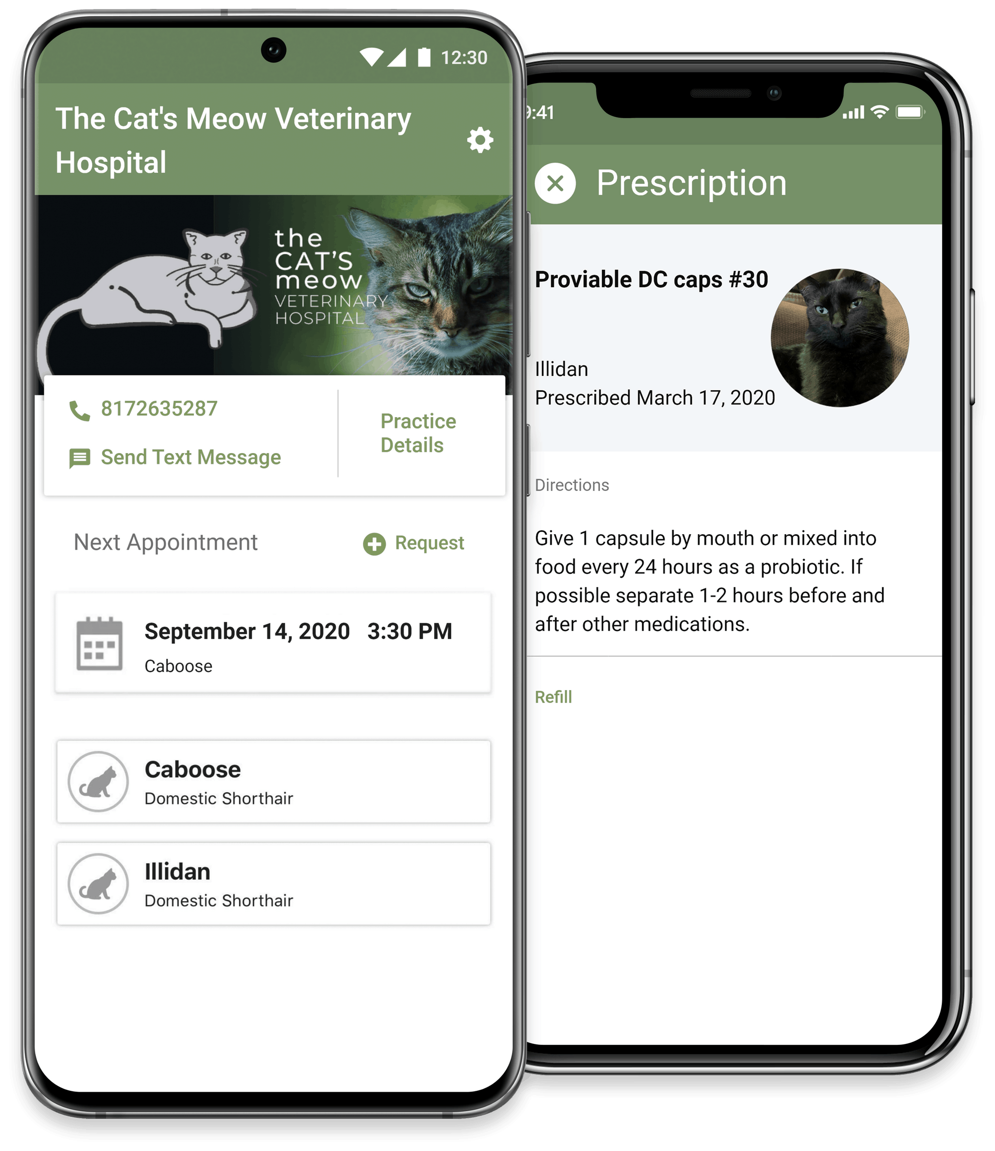 The Cat's Meow Veterinary Hospital | Cat Animal Clinic | Fort Worth, TX