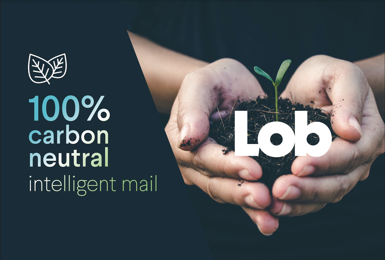 How Lob’s Carbon Neutral Campaign Reenergized Its Marketing