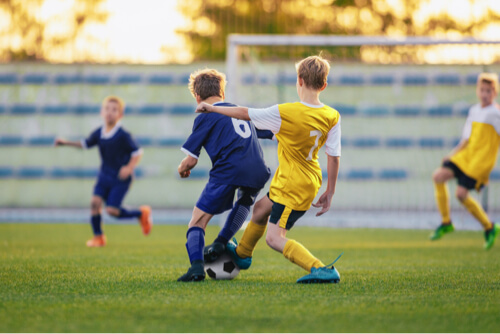 Team Sports | ACTIVE Network