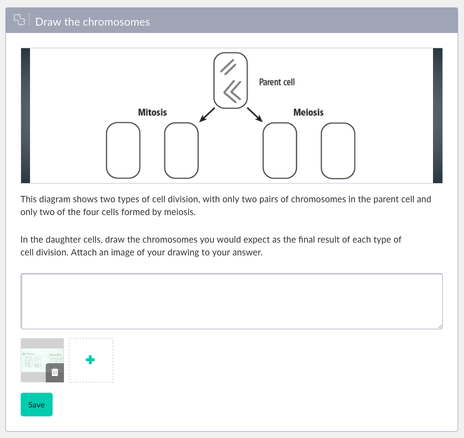 iQualify Blog - Open response activities
